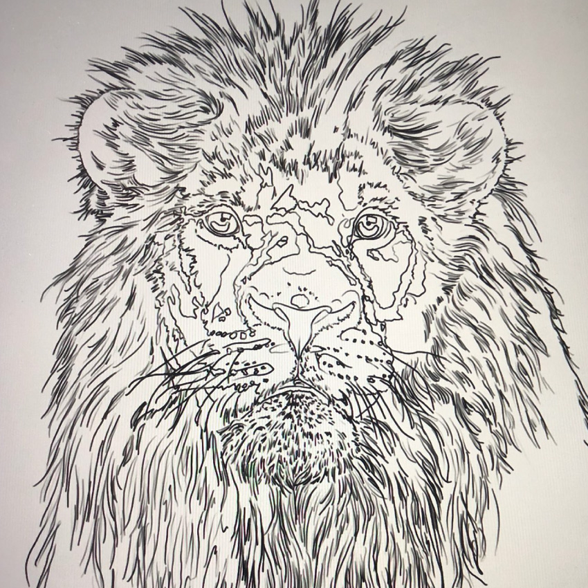 Traditional Lion Flash